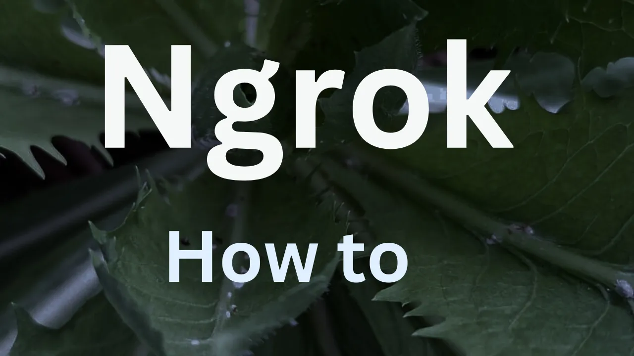 Como usar o Ngrok